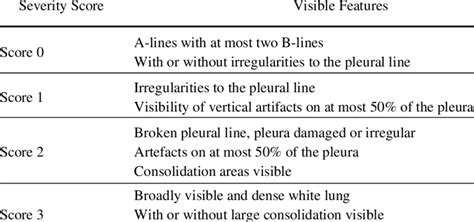 Definition Of Severity Level And Key Associated Features Of The Lung Download Scientific
