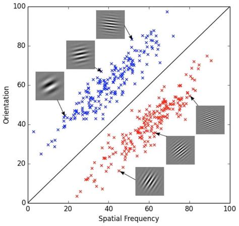 Multiple Stages Of Learning In Perceptual Categorization Evidence And