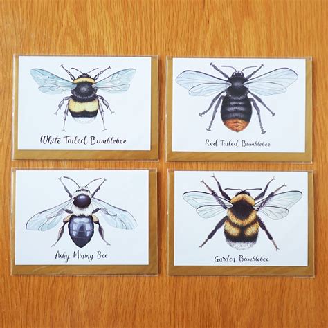 Common British Types Of Bee Greetings Card Pack Etsy UK