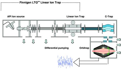 9 Schematic Representation Of The Thermo Electron Lit Orbitrap