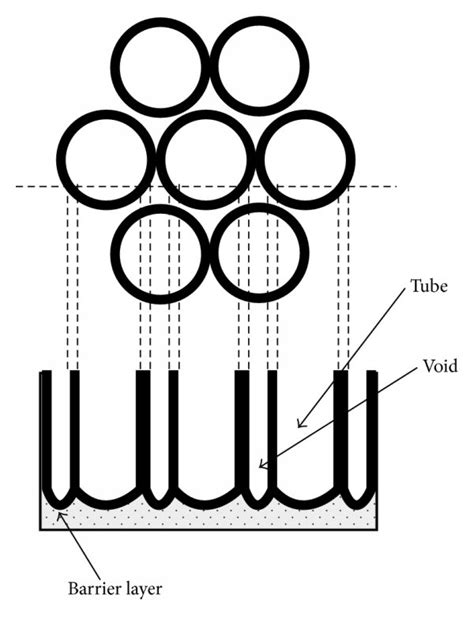 Schematic Diagram Of The Evolution Of A Nanotube Array At Constant Download Scientific Diagram
