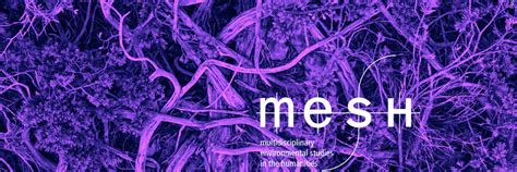 Mesh Research Hubbskysocial On Bluesky