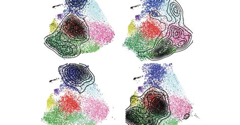 Single Cell Omics Focus Group Sib Swiss Institute Of Bioinformatics