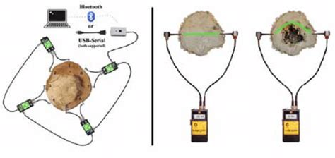 Principle Of Measurement By Acoustic Tools Fakopp A Treesonic™ Model Download Scientific