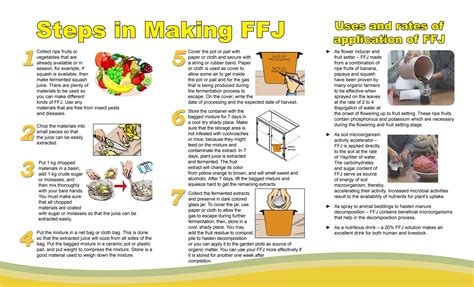 Fermented Fruit Juice Pdf