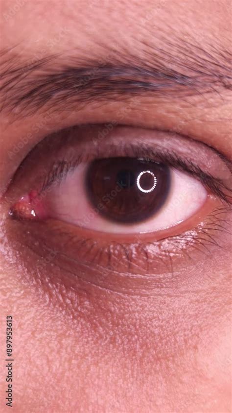 Vertical Video Of Human Eye Movement Opening And Blinking Of A Female