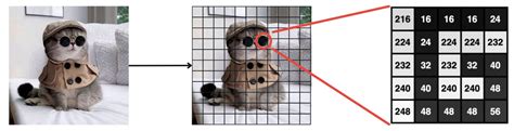 Improve Model Performance With Image Embeddings Encord