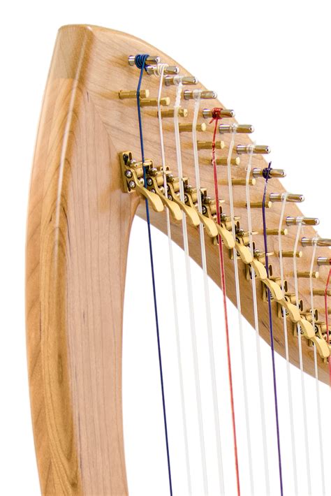 28 String Bass Lap Harp Learning The Harp