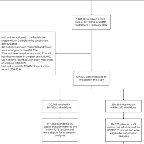 Selection Of Persons For The Emulation Of A Target Trial Evaluating The Download Scientific