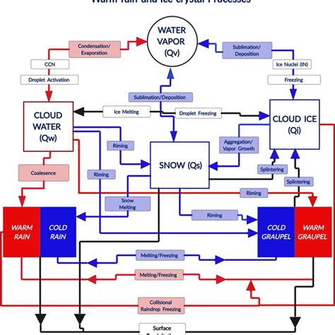 The Web Of Cloud Microphysical Processes Involving Warm Rain And Ice Download Scientific