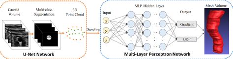 Figure 1 From Neural Implicit Representation For Three Dimensional Ultrasound Carotid Surface