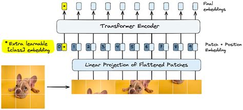 Convolutional Neural Networks Cnns Understanding Global Patterns Vs Local Patterns By Ajay