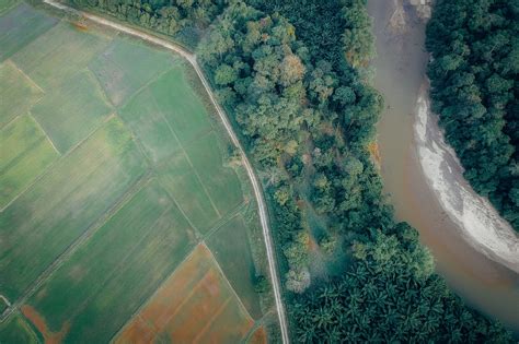 What Is Forest Fragmentation And Why Is It A Problem Cook Forest