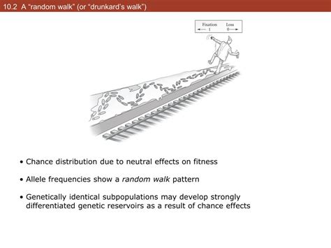 Ppt Genetic Drift Evolution At Random Powerpoint Presentation Free Download Id4258133