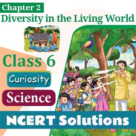 For Session 2025 26 Ncert Solutions For Class 6 Science Chapter 2