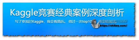 Kaggle竞赛案例深度剖析，轻松赢得让大厂面试官双眼放光的竞赛经验（7章完结） 天下无鱼 资源博客