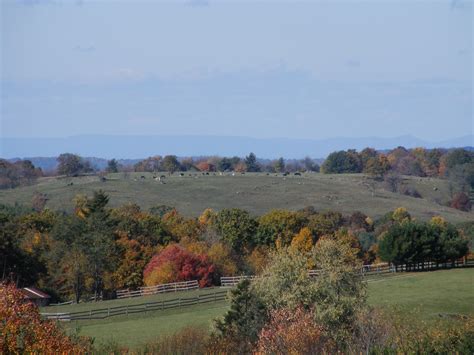 Elevation Of Floyd Va Usa Maplogs