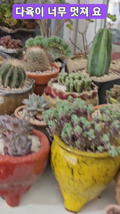 이찬원 시절인연 Youtube