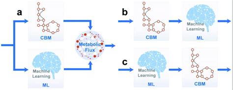 Different Forms Of Cbm And Ml Integration A Processing Omics Data Download Scientific