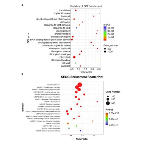 Functional Annotations Of Differentially Expressed Genes A
