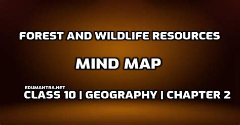 Forest And Wildlife Resources Mind Map Class 10 Geography Easy