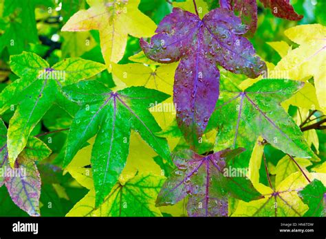 Season Change Hi Res Stock Photography And Images Alamy