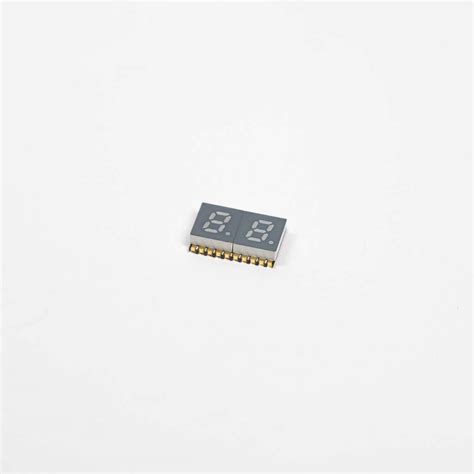 Inch Digit Hight Dual Digit Segment SMD LED Display OPTO PLUS LED Corp
