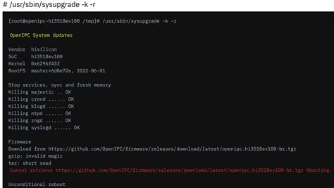 hi3518ev100 upgrade from "2022-06-01" fails · Issue #664 · OpenIPC/firmware · GitHub