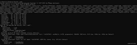 Ffmpeg时间戳ffmpeg Dts Csdn博客