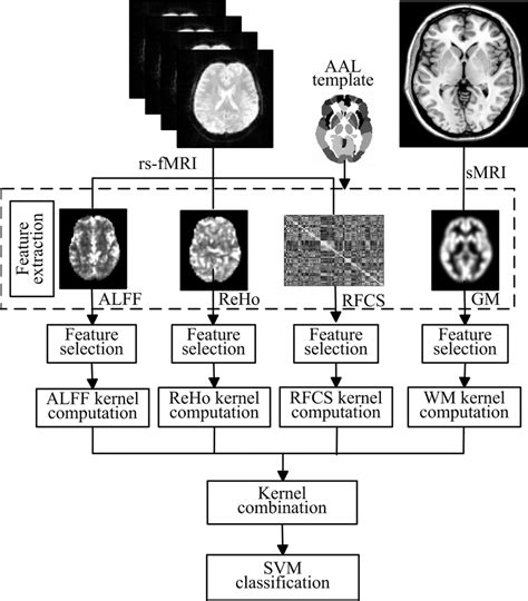 Schematic Illustration Of The Multi Feature Combination And Download Scientific Diagram