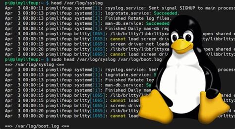 How To Use The Grep Command Pi My Life Up
