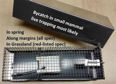 Mammal Traps