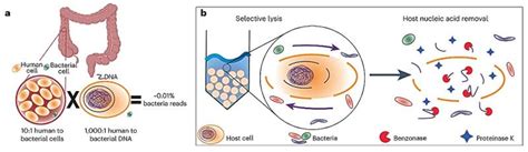 Diana Yedid On Linkedin A New Method For Assessing The Microbiome Of The Human Gut