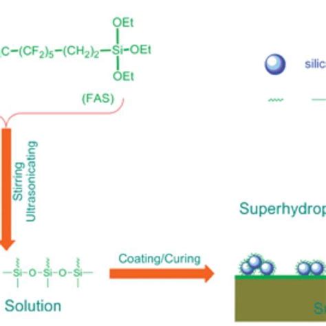 Schematic Illustration Of The Synthesis Of Fluorinated Silica Nps And
