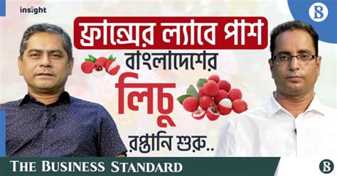 Bangladeshi Lychee Passes France Lab Test The Business Standard