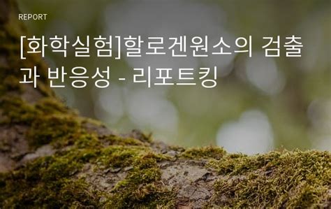 화학실험 할로겐원소의 검출과 반응성 리포트킹 레포트