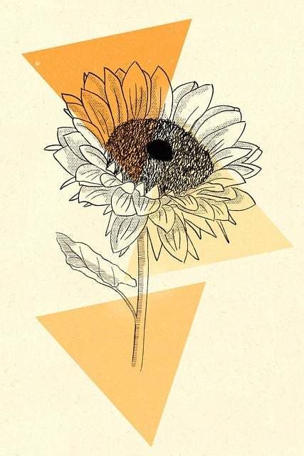 Aesthetic Sunflower Drawing Png Images Psd Free Download Pikbest