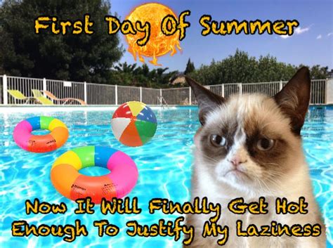 Grumpy Cat Is Ready For The First Day Of Summer ☀️ Grumpy Cat Cats