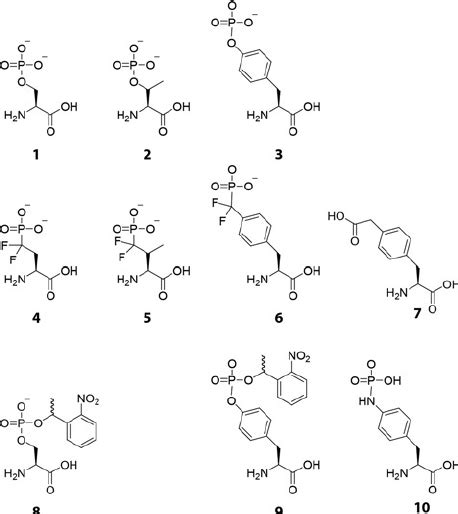 Phosphoamino Acids And Their Mimics Phosphoserine 1 Download