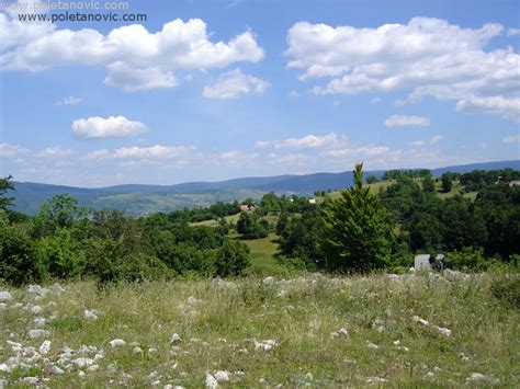 Слике Ђукића из Јула 2003