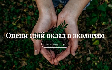 GitHub Xenia19 Eco