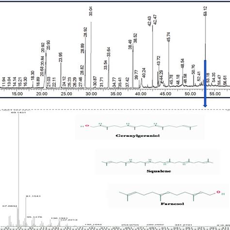 Gcms Chromatogram Of Ethyl Acetate Extract Of P Capitalensis Hcs6