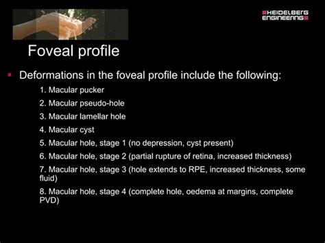 Spectralis Oct Normal Anatomy And Systematic Interpretation Pdf Eye And Vision Conditions