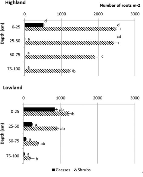 Grass And Shrub Fine Root Density Number M À2 Of Roots Of Diameter