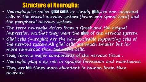 Classification Function And Location Fo Neuroglia Cells Ppt