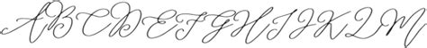 WarmScript Regular Otf 400 Font Script Elegant What Font Is