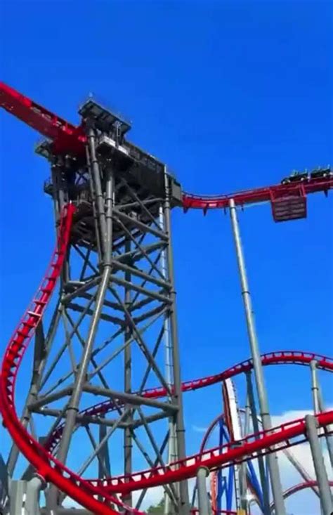 If Im Going To Spend Money To Crap Myself Ill Spend It On Ex Lax