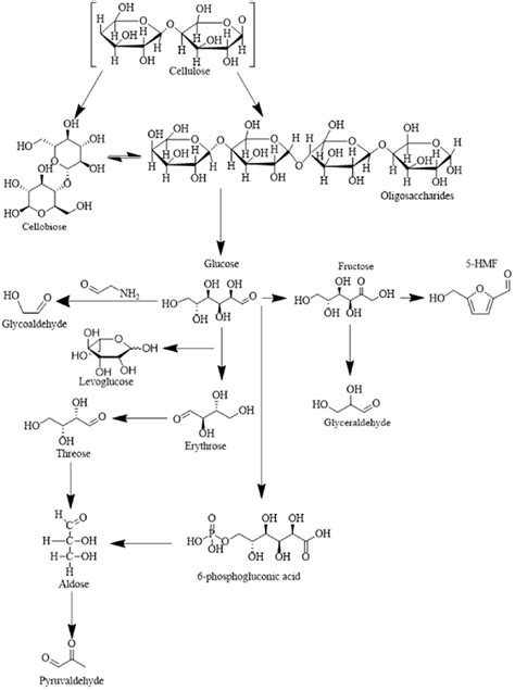 Possible Reaction Pathways In Cellulose Hydrolysis Download