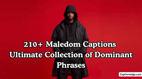 210 Maledom Captions Ultimate Collection Of Dominant Phrases