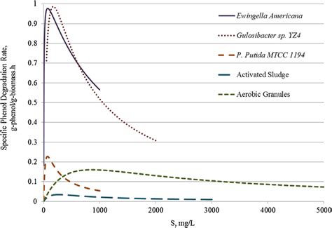 Specific Phenol Degradation Rates Of Cell Cultures Within Their